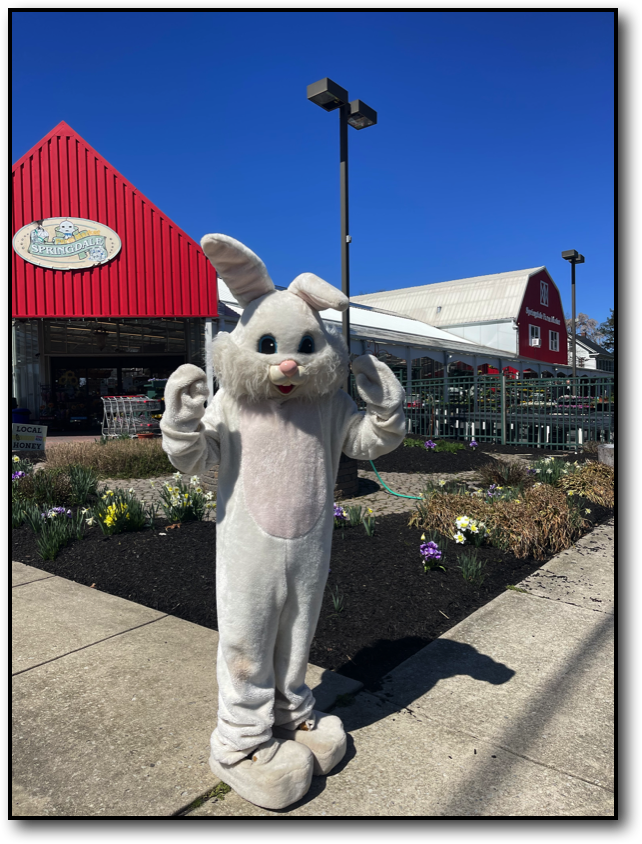 Springdale Farm Market - Cherry Hill's Last Working Farm