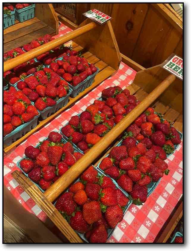 Springdale Farm Market - Cherry Hill's Last Working Farm