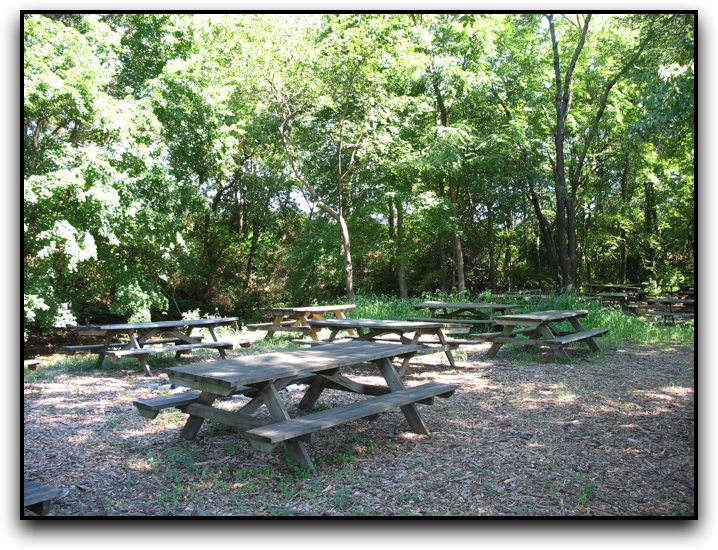 Springdale Farm Market - Parties & Hayrides