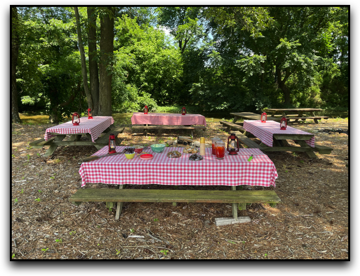 Springdale Farm Market - Parties & Hayrides