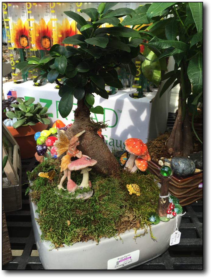 Springdale Farm Market - The Plant Yard