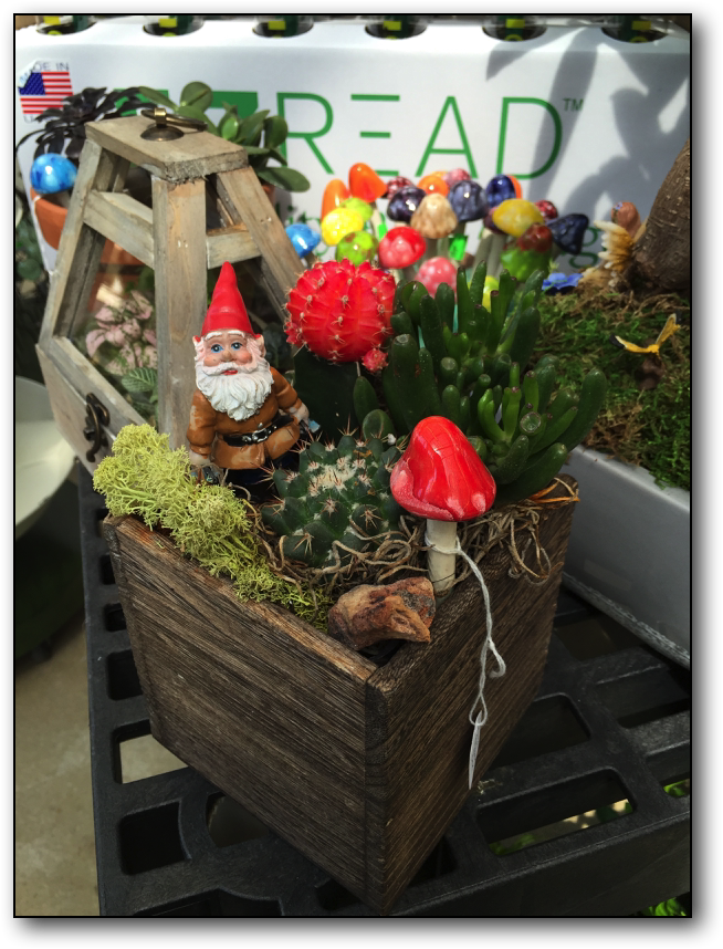 Springdale Farm Market - The Plant Yard
